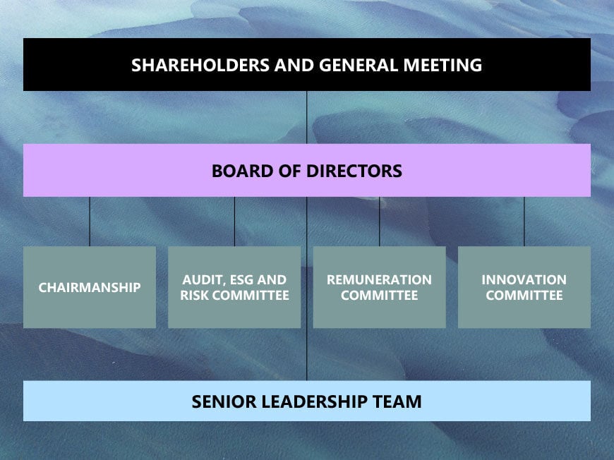 Board Committees | Audit, ESG & Risk | Innovation & Renumeration | Topsoe