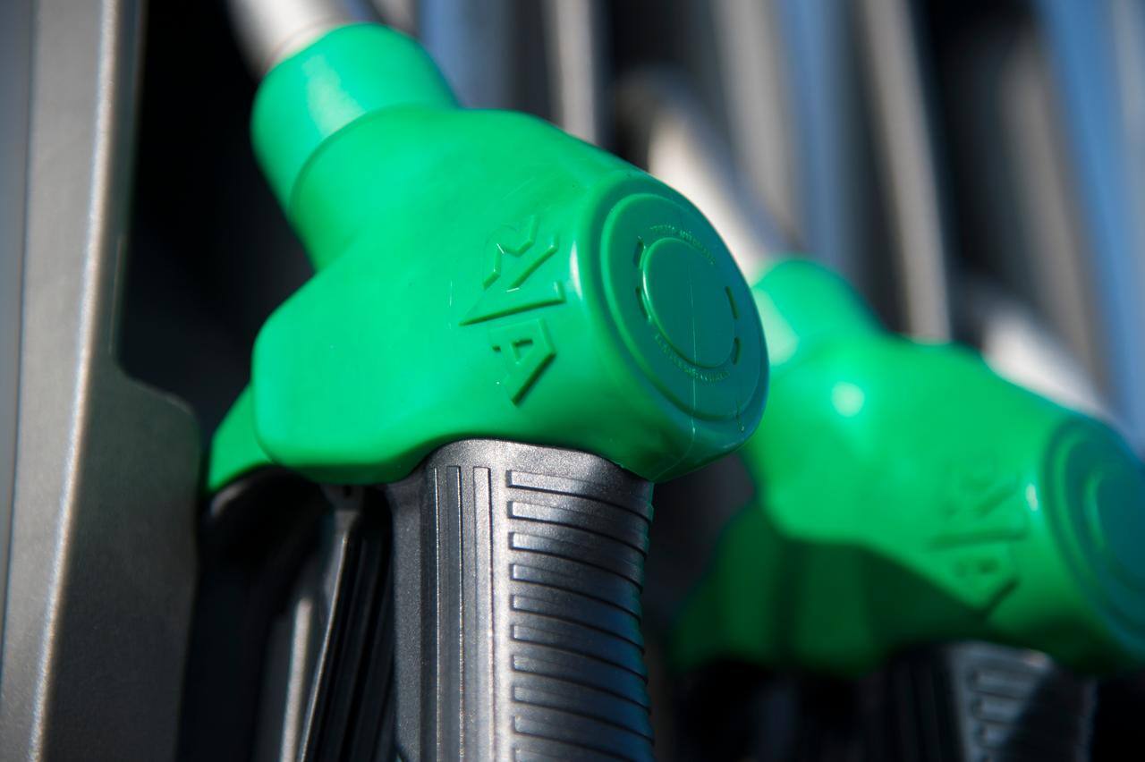 Knowledge & Insights on renewable fuel