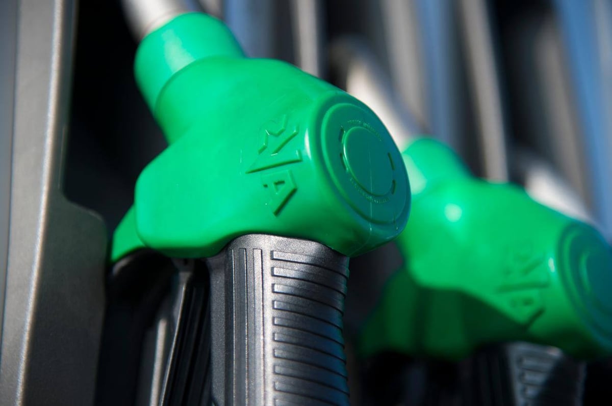 Knowledge & Insights on renewable fuel