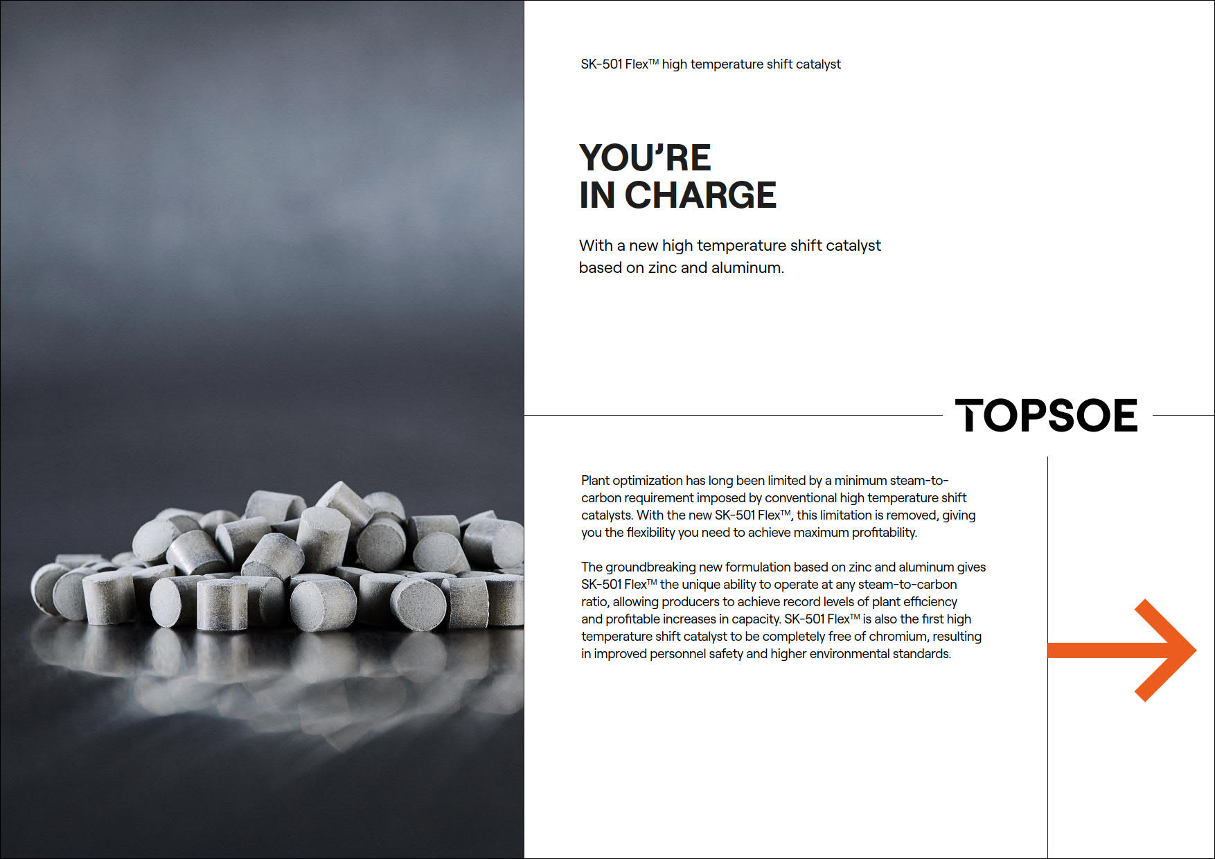 SK-501 Flex™ | Catalysts | Products | Topsoe